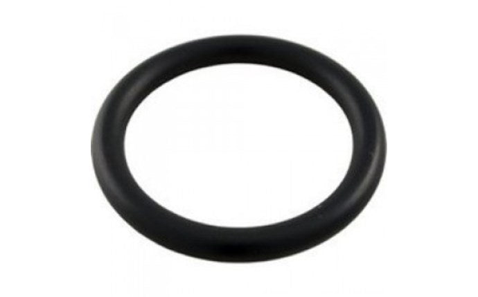 O-ring Push pull valve Pentair